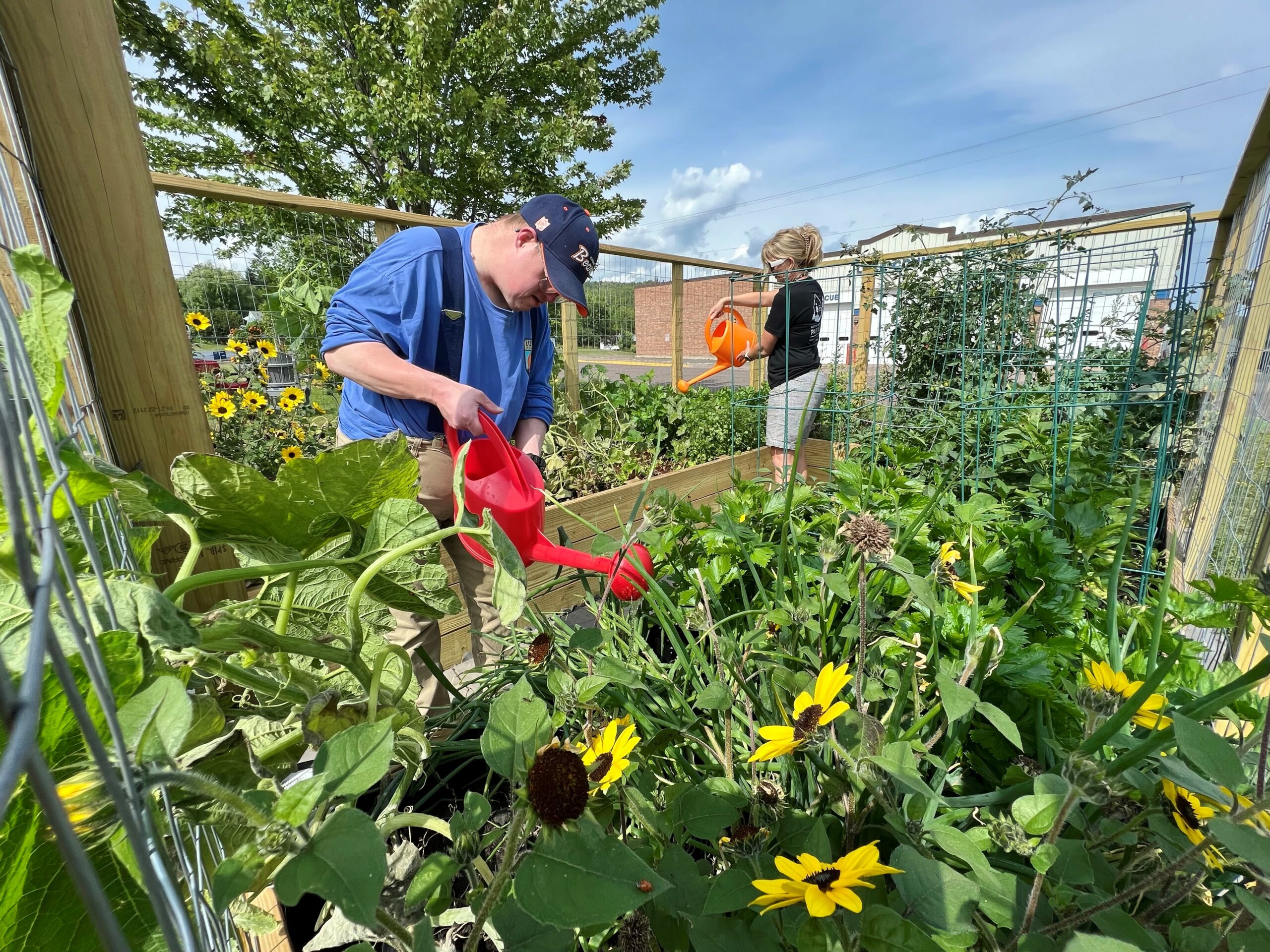 How the Seeds From One Grant Have a Small Community Buzzing › Blandin ...