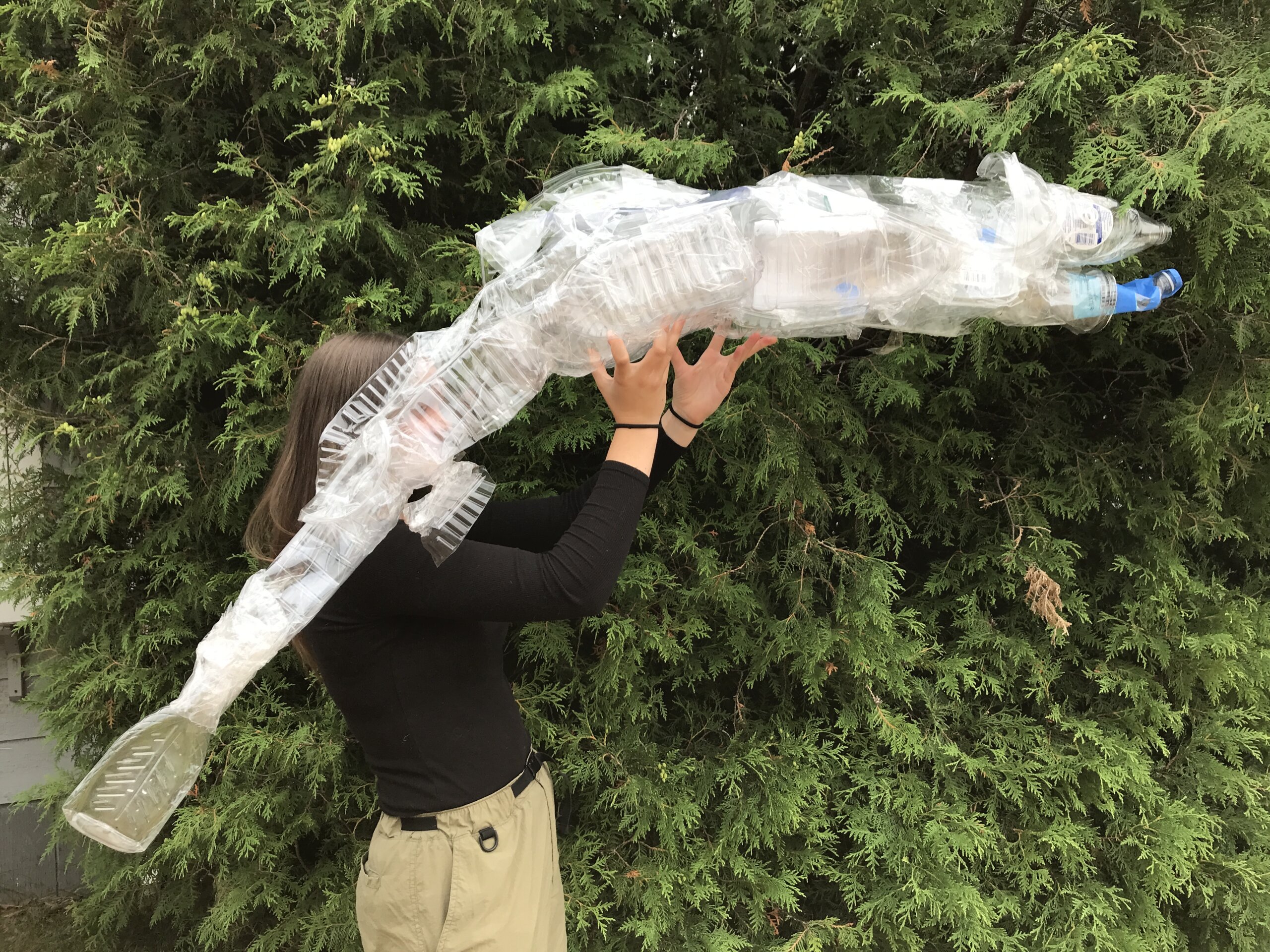 Grand Marais as an Incubator. Blandin as a Catalyst. › Blandin Foundation
