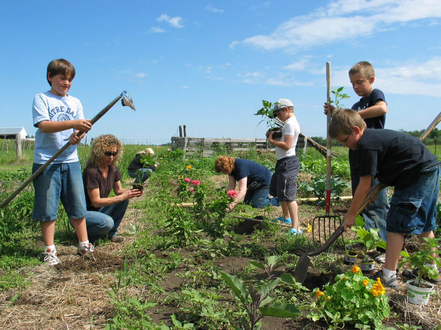 Introducing GroundWork: tools to grow vibrant rural communities ...