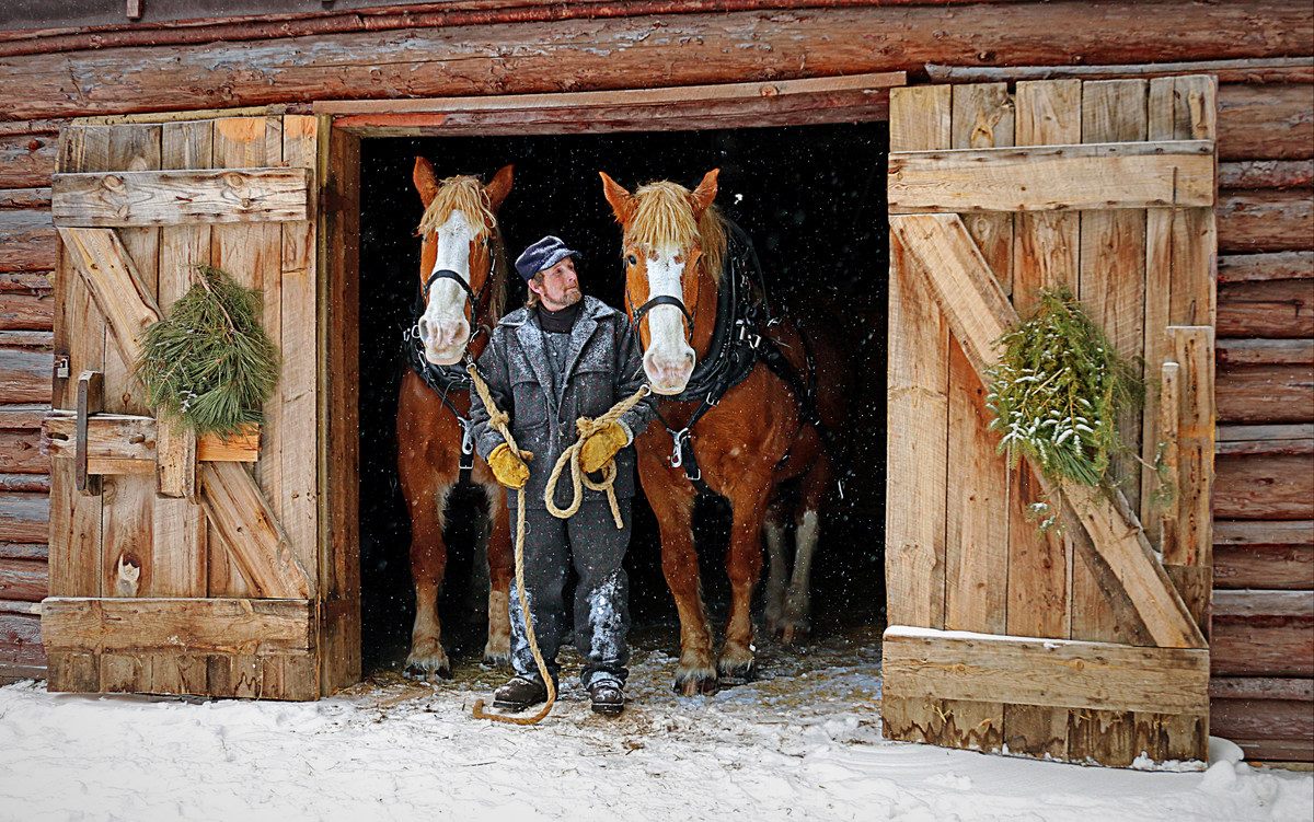 Performers capture local history to engage and inspire at Forest ...
