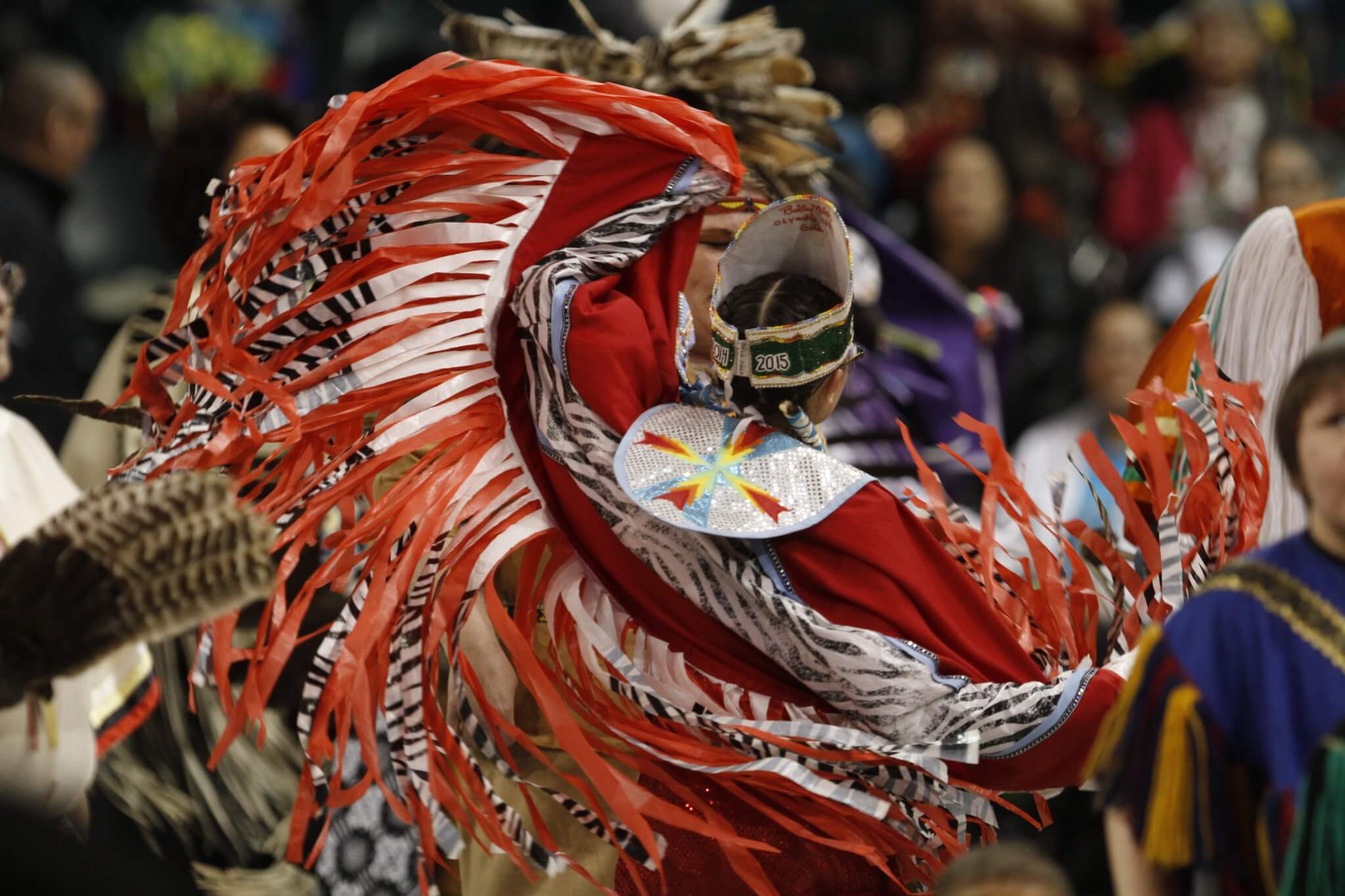 Indigenizing the Census: Minnesota tribal communities collaborate for a ...